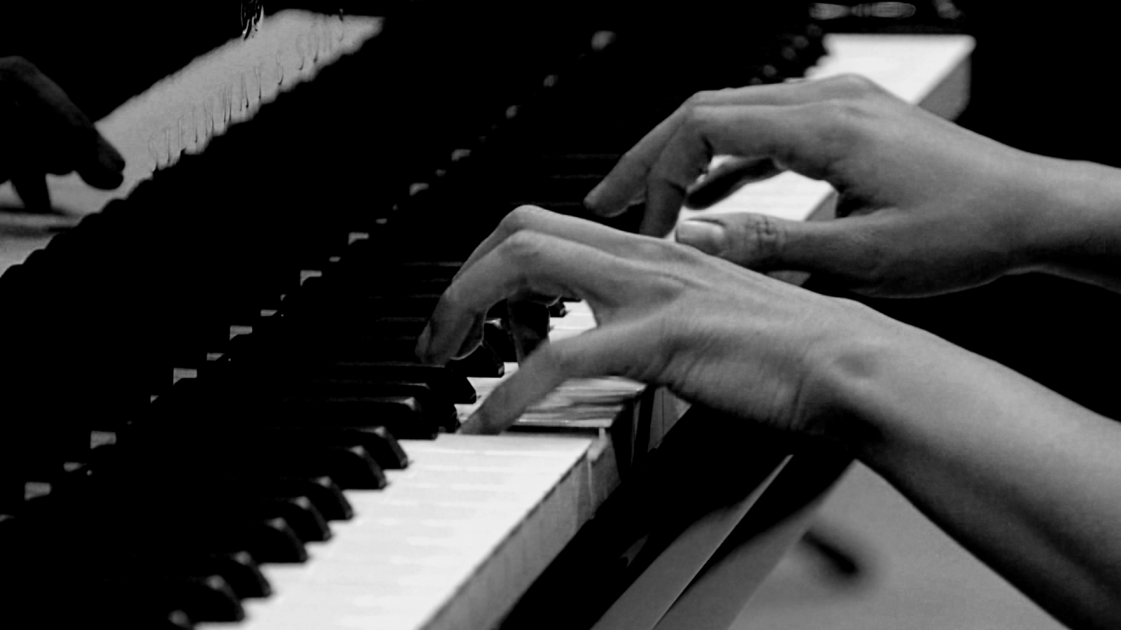 Belén Vives | Contact